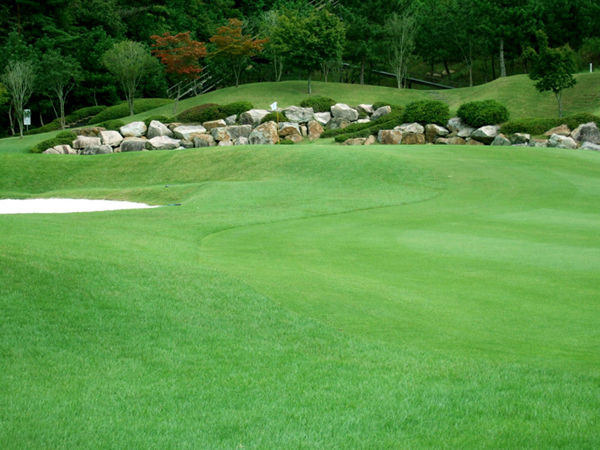 4th. HOLE｜メイプルヒルズゴルフ倶楽部